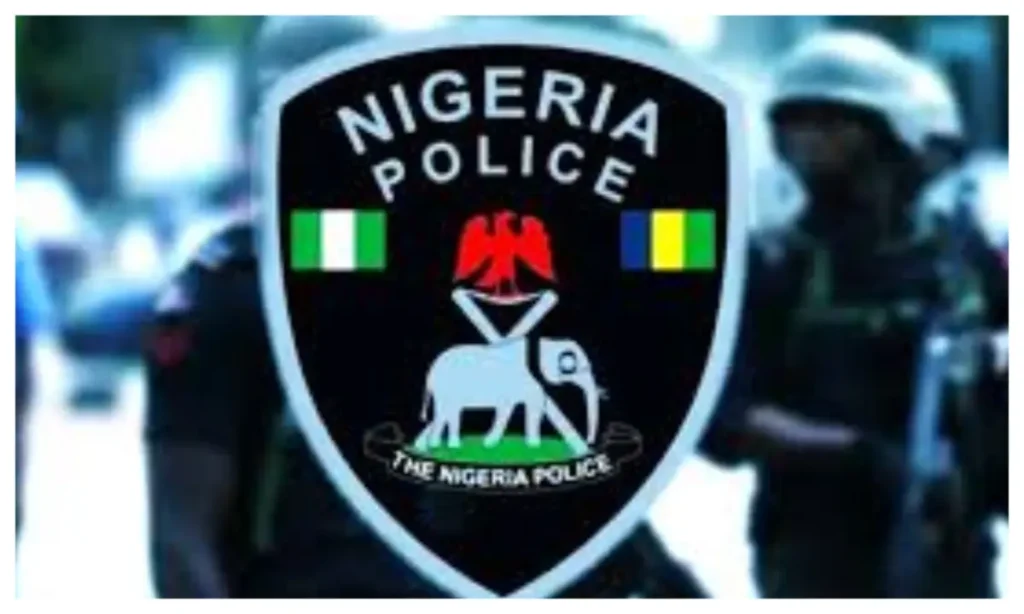 Police in Kano begin full enforcement against covered, fake, missing ...