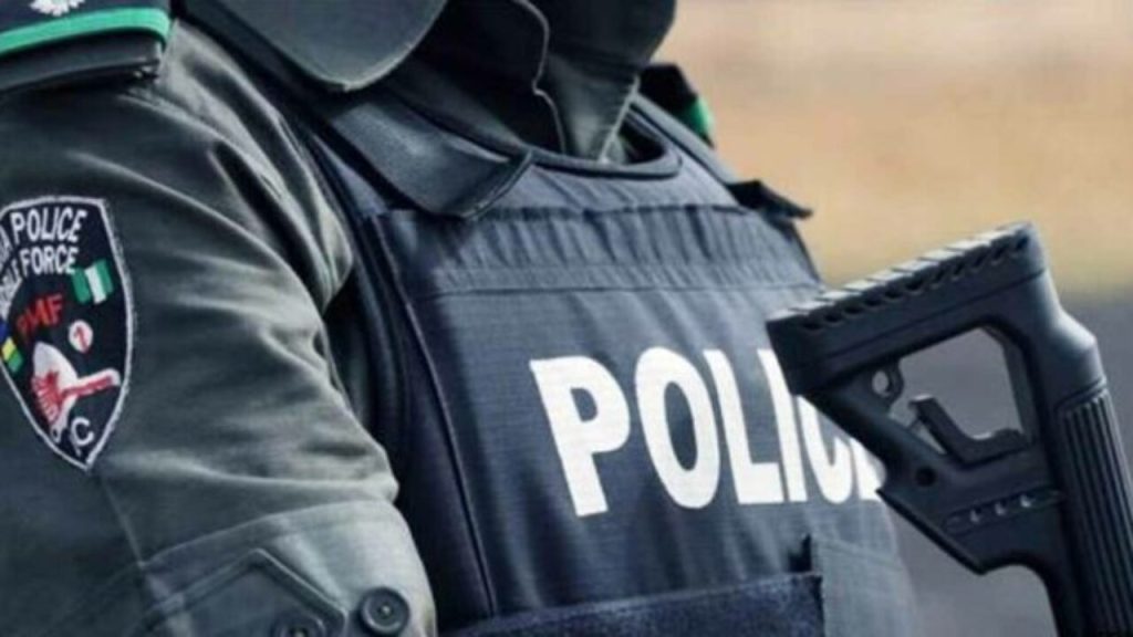 Police bust armed robbery, car snatching syndicate in Ogun - NaijaWhisper