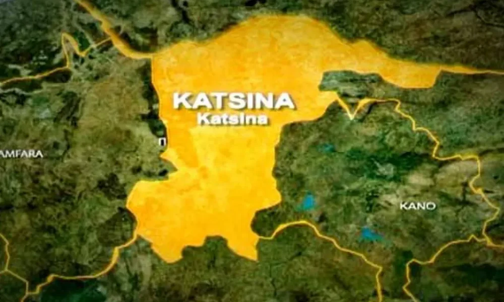 Katsina: Pregnant woman dies after health worker allegedly refuses to ...