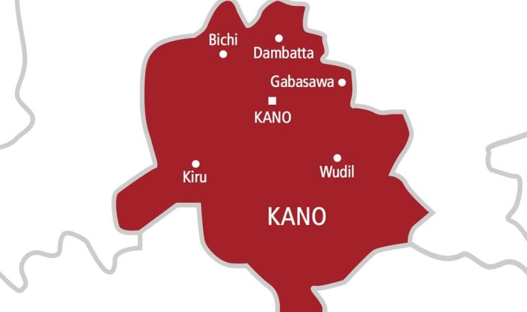 Mother of five newborns dies hours after giving birth in Kano hospital ...